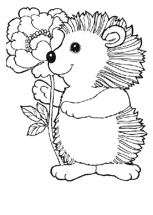 Kids-n-fun.com | 32 coloring pages of Hedgehogs