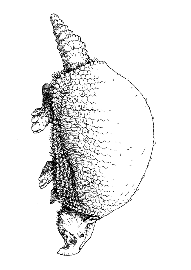 Kids-n-fun.com | 10 coloring pages of Animals of the Ice Age