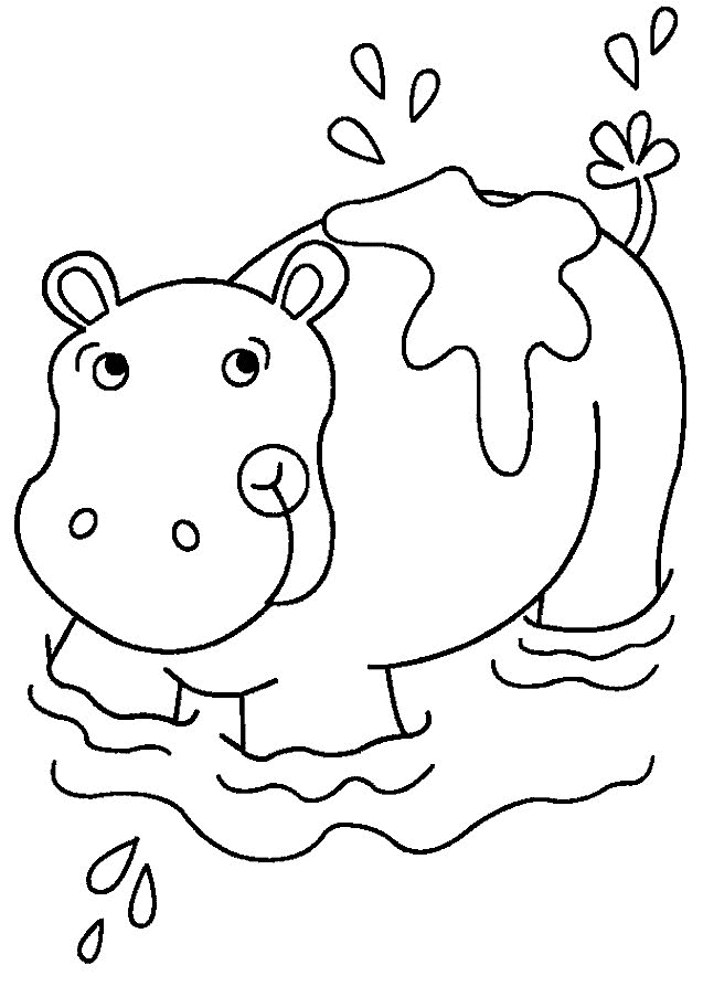 Kids-n-fun.com | Coloring page Hippos Hippos