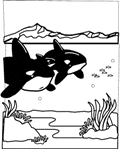Kids-n-fun | 20 coloring pages of Marine life