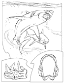 Kids-n-fun | 20 coloring pages of Marine life