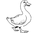 Kids-n-fun | 20 coloring pages of Ducks