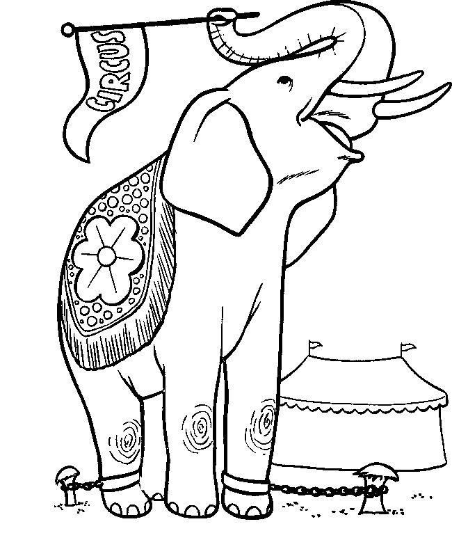 Kids-n-fun.com | 21 coloring pages of Elephants