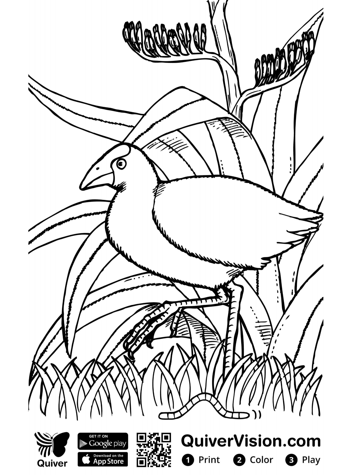 Kids-n-fun.com | Coloring page Quiver bird Kids-n-fun.com | Coloring page Quiver bird