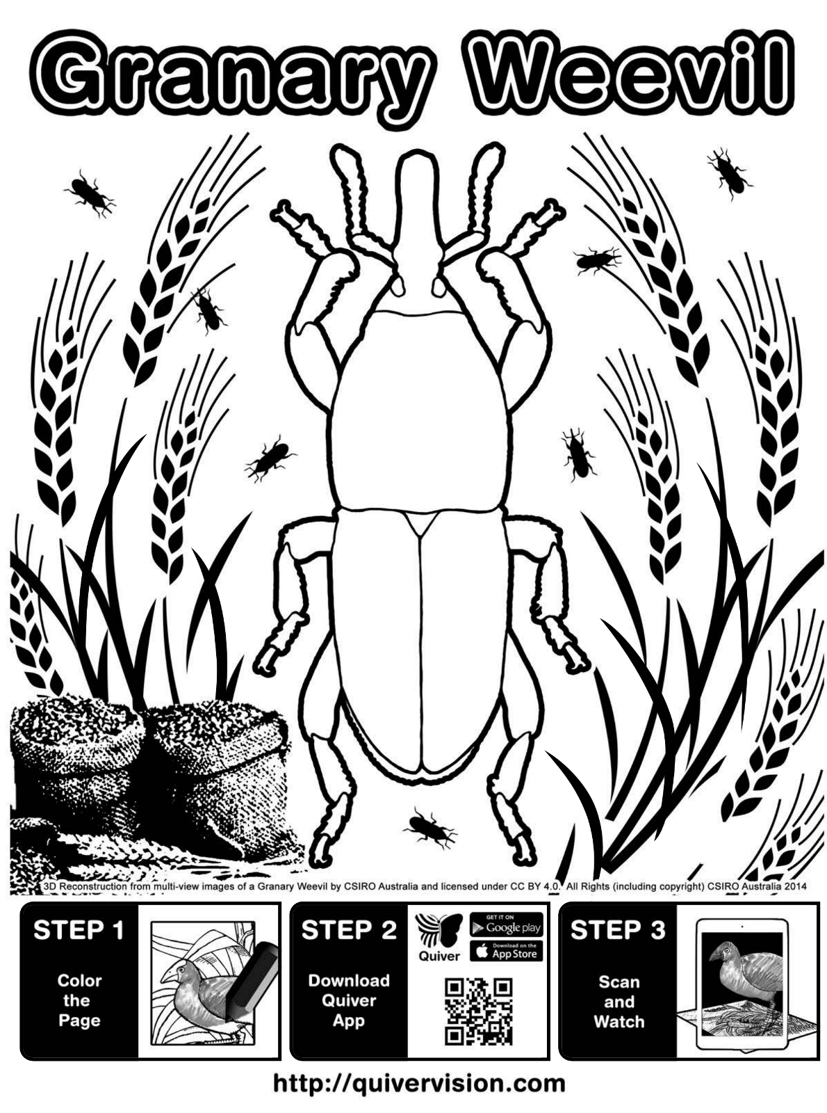 Kever Rochel Coloring Page Coloring Pages