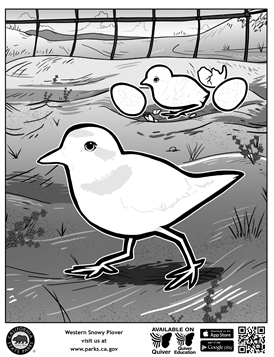 Kids-n-fun.com | 54 coloring pages of Quiver